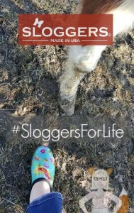 Sloggers Review – MamatheFox